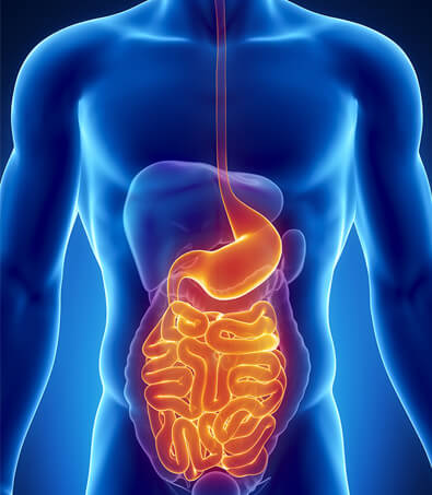 Gastroenterology Treatment | Medpersia Medical Tourism